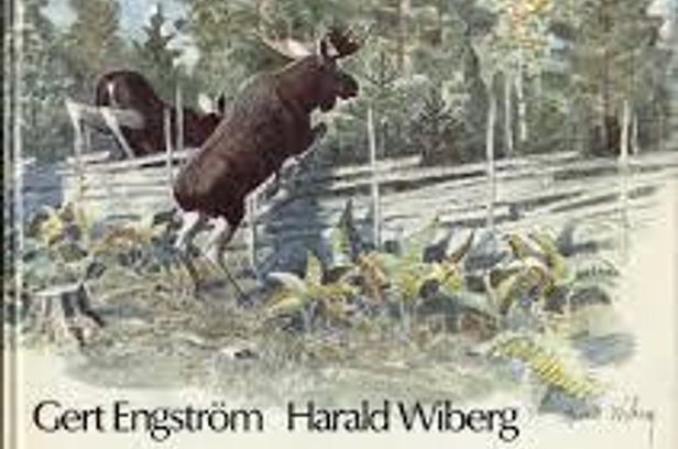 Våra vilda djur säljes i Stockholms stad | Blocket