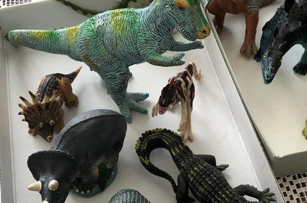 Dinosaurie samling säljes i Stockholms stad | Blocket