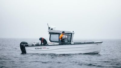 Nyhet! Sting Pro 725 Cabin XL Mercury F150 sä - såld eller borttagen