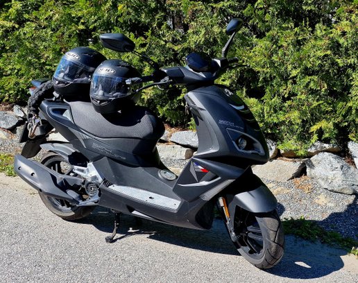 Blocket | Säljes i hela Sverige