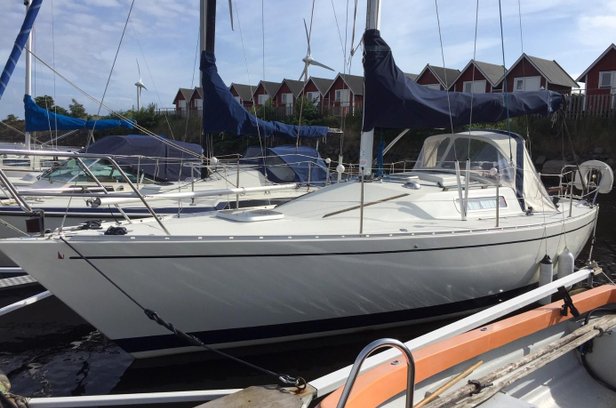 Albin Cumulus säljes i Falkenberg | Blocket