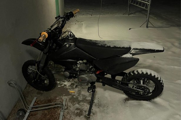 Fiddy säljes i Skellefteå | Blocket