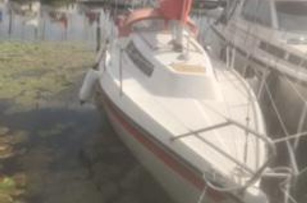 Polca 28 säljes i Uppsala | Blocket