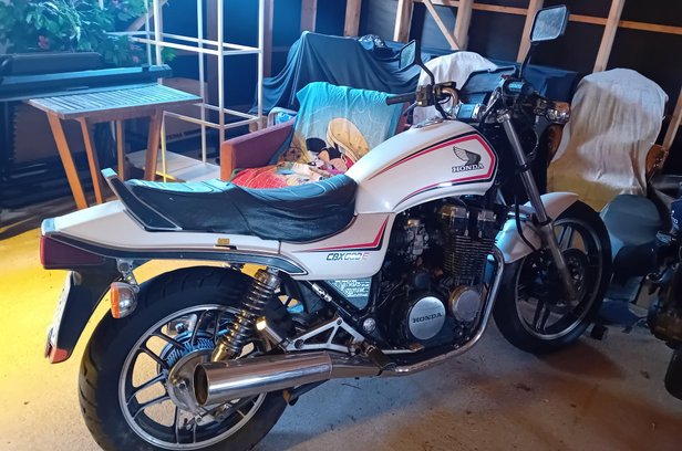 Honda CBX 600 E till salu säljes i Skellefteå | Blocket