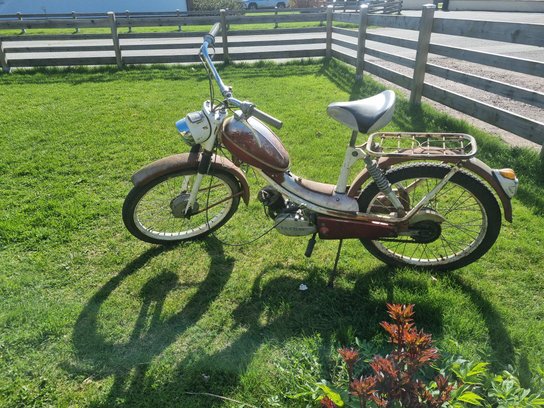 Blocket | Säljes i hela Sverige