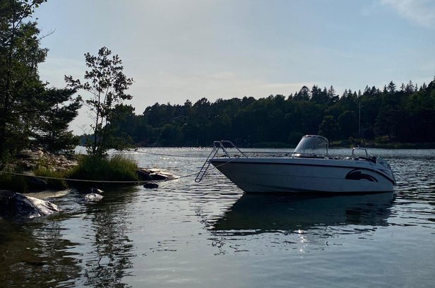 AMT 160 R (2017) med Suzuki DF60 ATL (2018) säljes i Österåker | Blocket