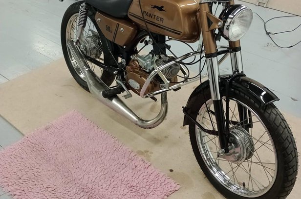 dbs panter säljes i Krokom | Blocket - såld eller borttagen