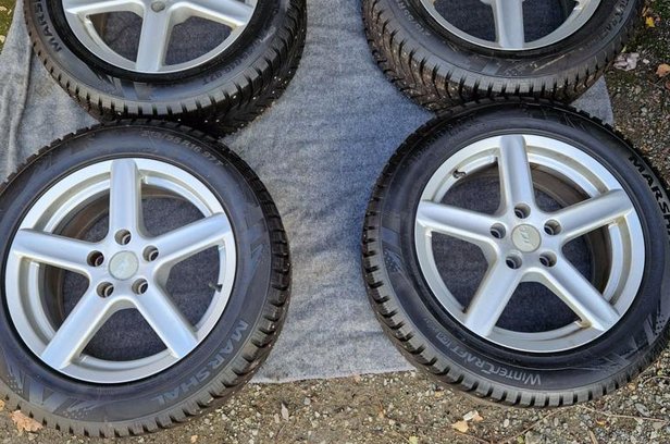 vinterdäck med dubb på alufälg till vw passat - såld eller borttagen