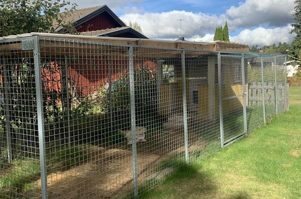 komplett hundgård/hönsgård säljes i Oskarshamn | Blocket